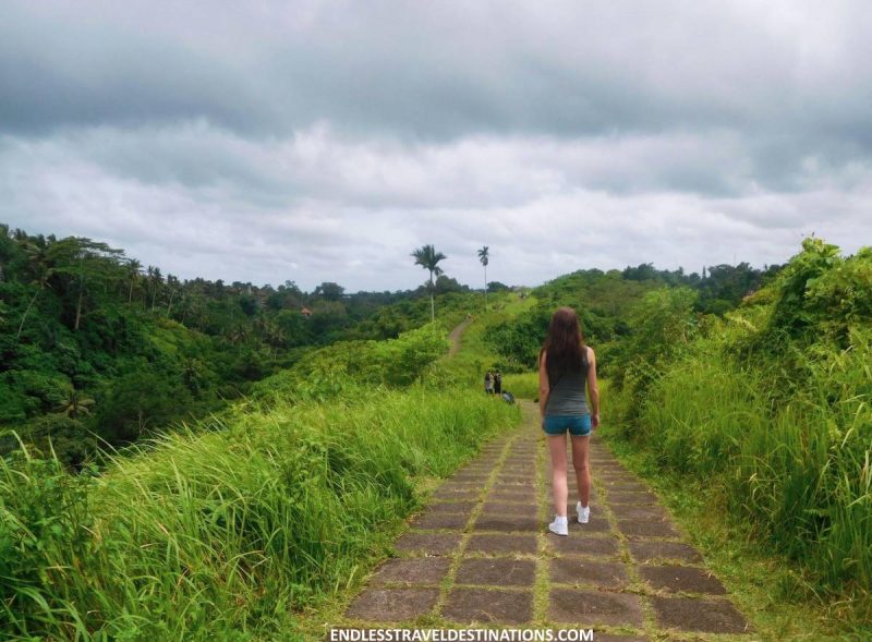 16 Very Best Things to Do in Ubud, Bali - Endless Travel Destinations