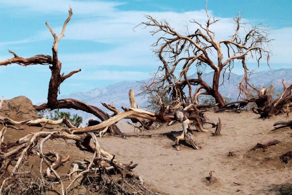 Ultimate Guide to Death Valley National Park - Endless Travel Destinations
