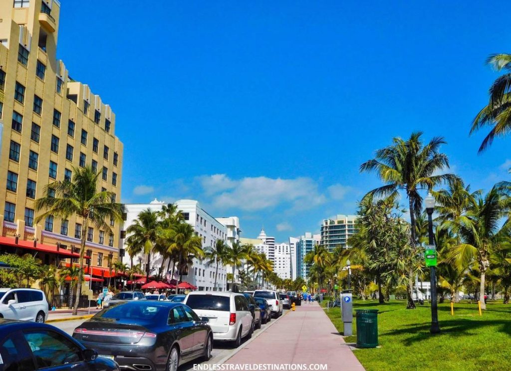 14 Extremely Cool Things to Do in Miami - Endless Travel Destinations